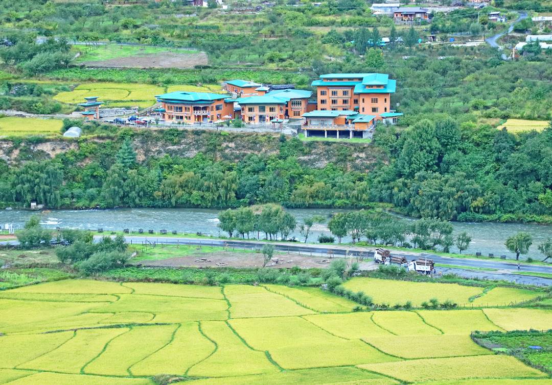 Gemini Tours & Travels - Bhutan Tour Packages Operator